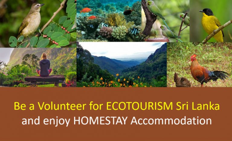 Be an Ecotourism Volunteer in Sri Lanka to contribute to SDGs